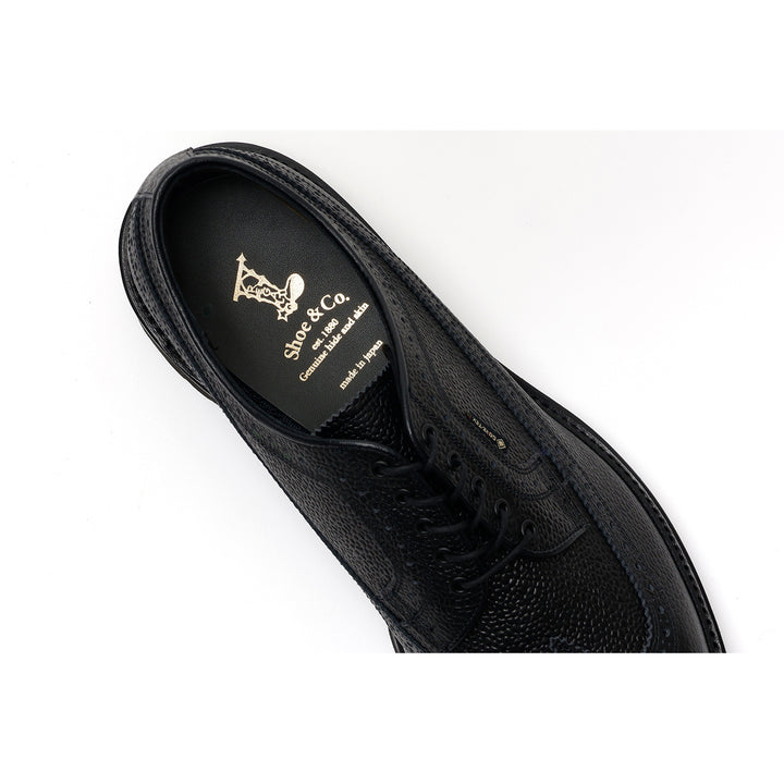 Wing-Tip GTX_Black – REGAL Shoe & Co.