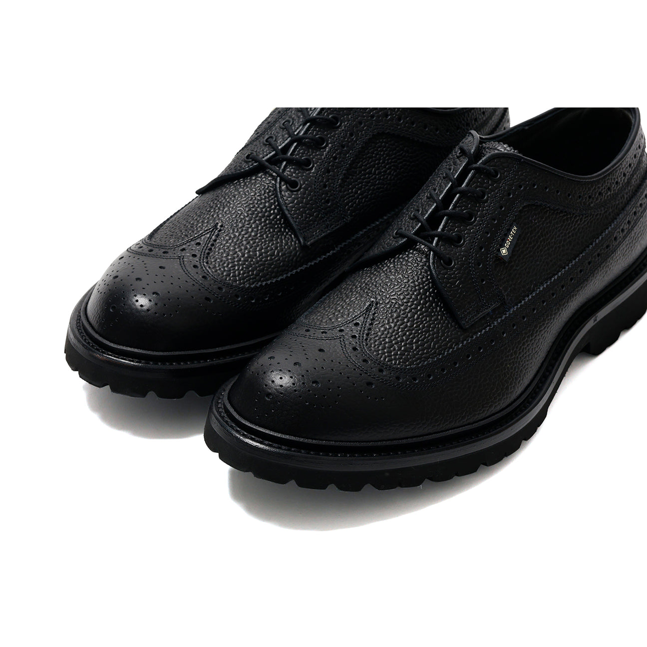 Wing-Tip GTX_Black – REGAL Shoe & Co.